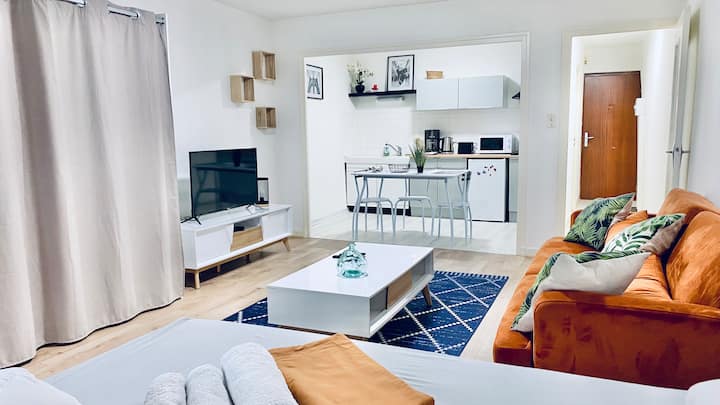 Le 12, 40m2, Centre, Wifi, Linge, Serviettes - Ain