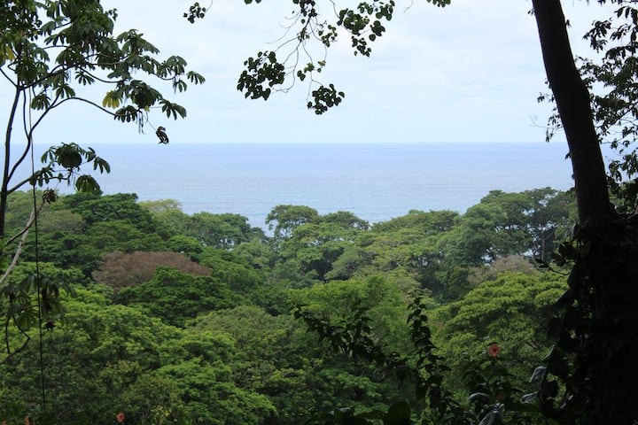 Ocean View Paradise For Nature Lovers! - Puerto Viejo de Talamanca