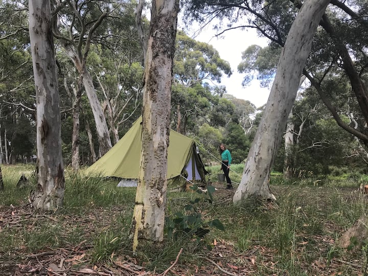 Redleaf Glamping - Frog Haven - Fitzroy Falls