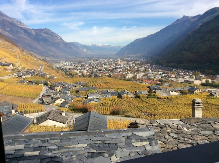 Chalet Au Coeur Du Vignoble De Martigny - Canton of Valais