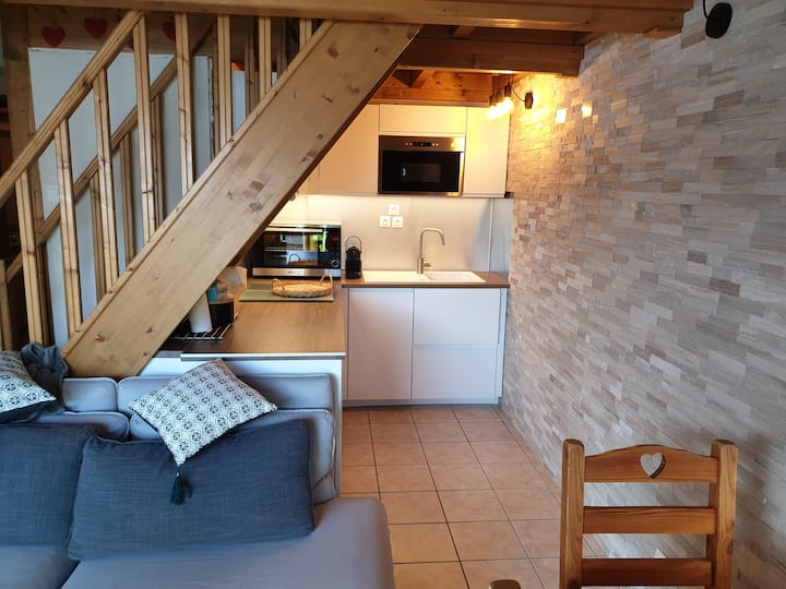 Appartement Face Pistes Et Glacier - Les Deux Alpes