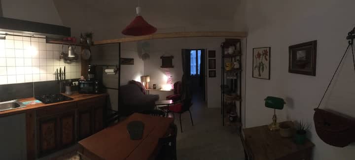 Appartement Typique En Ville Et De Plain Pied - 세트