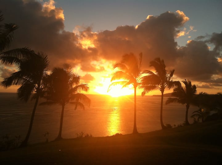Wonderland - Hanalei