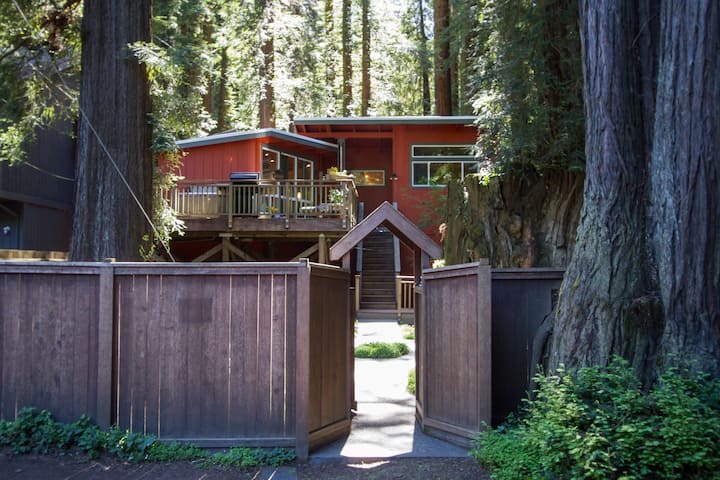 Pumpkin House - Guerneville, CA