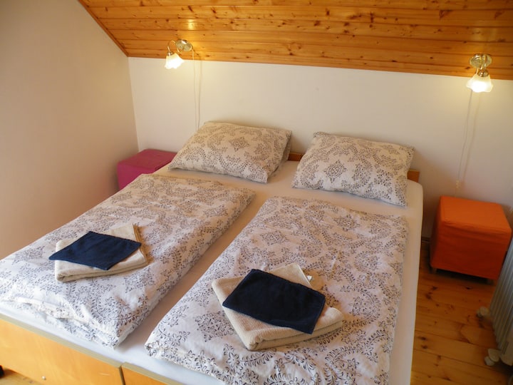 Water Lily 2 - Balaton