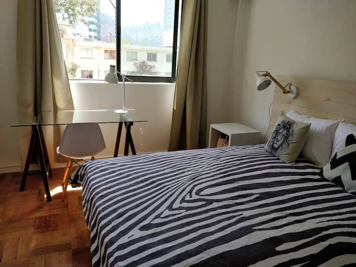 Newly Remodeled 3b In The Best Neighbourhood - Las Condes