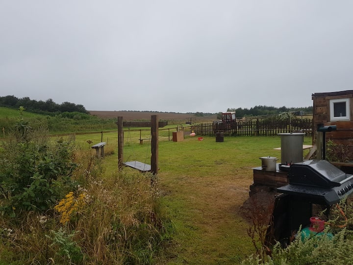 10 Pitch Non-electric Campsite On Small Goat Farm. - Île de Wight