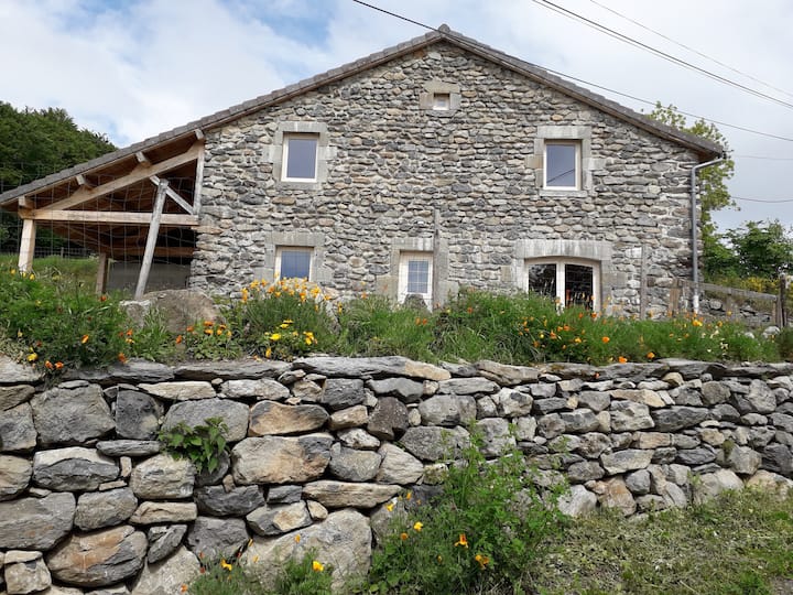 Maison De Village - Brives-Charensac