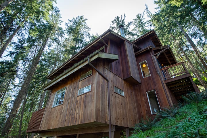 Tranquil Forested Cabin With Sauna, Home Gym, & Ac - Eugene, OR