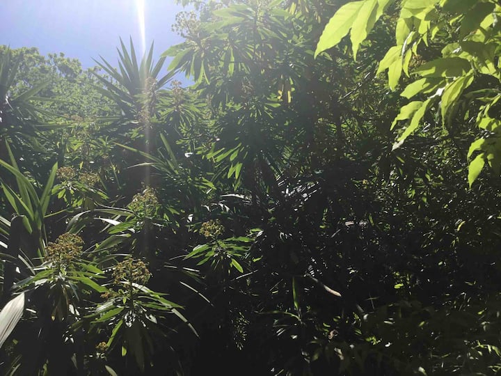 Charming  Tranquil Flat Close To Central London - London, UK