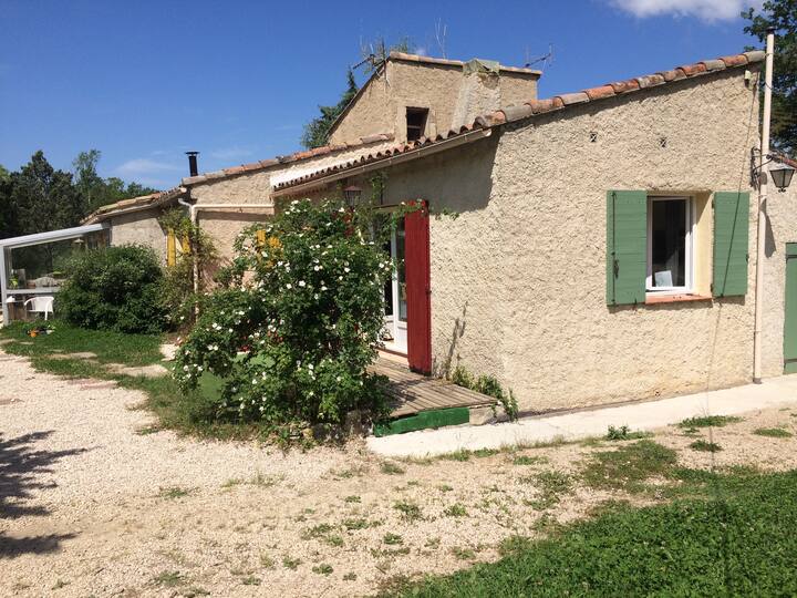 à L'entrée De La Forêt Primaire - Nans-les-Pins