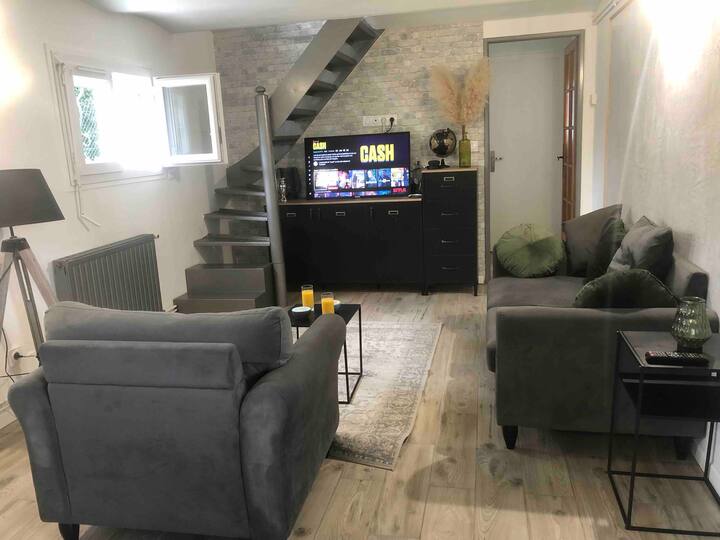 Magnifique Petite Maison Avec Jardin - Vierzon