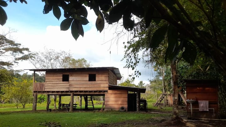 Pura Vida Green - Corredor