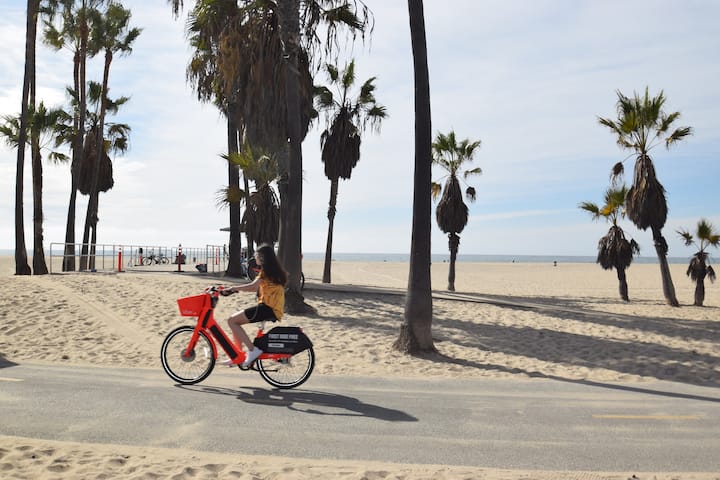 Villa By The Ocean In Venice Beach - Santa Monica, CA