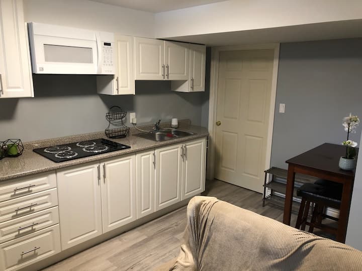 Executive 1 Bedroom Private Basement Apt Lower Lvl - St. Catharines