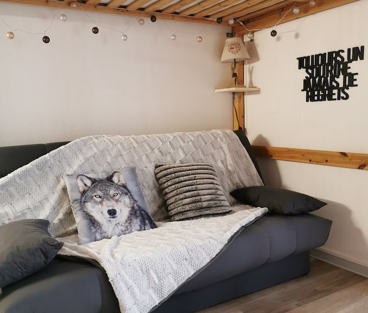 Charmant Studio Dans La Rue Piétonne, Au Calme - Ax 3 Domaines