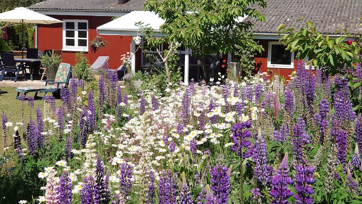 Cosy Summerhouse Close To Nature And Beach - Dänemark