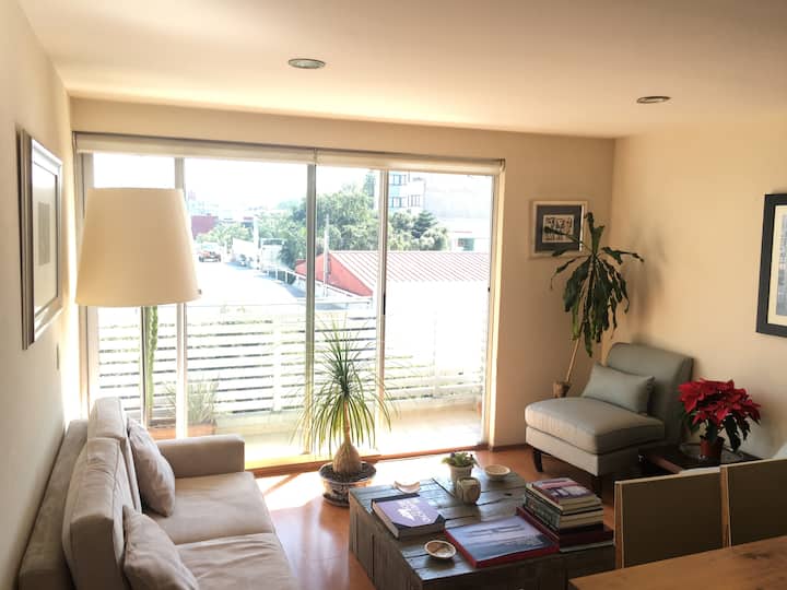Cozy Apartment Near Wtc And Pespi Center - Mexico City