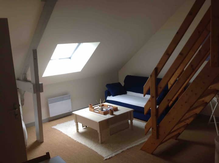 Studio Sur Le Port à 100 M De La Plage Au Calme - Cancale