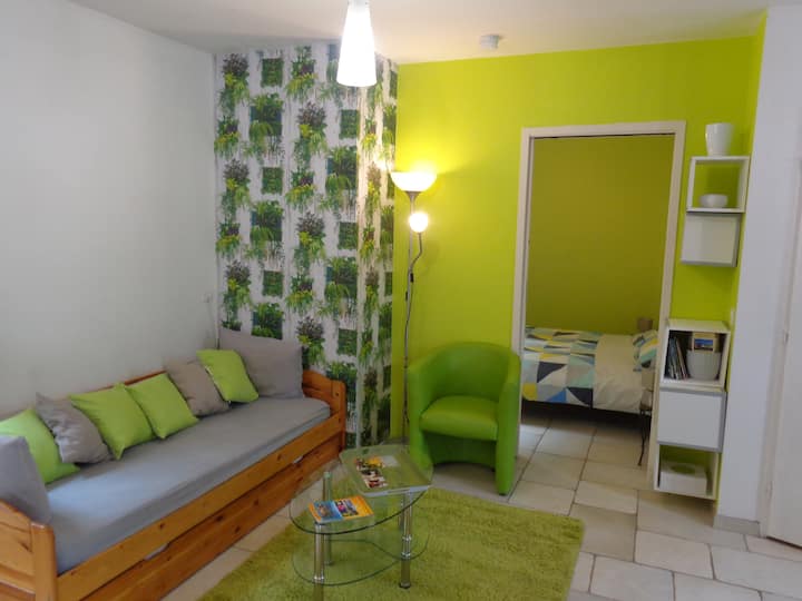 2 P Rez-de-jardin Proche Cannes, Mer, Montagne - La Roquette-sur-Siagne