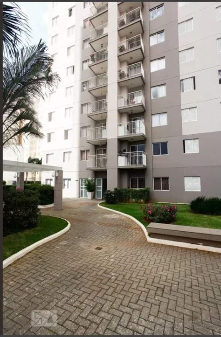 Carnaval Disponível E O Ano Todo - 과룰류스