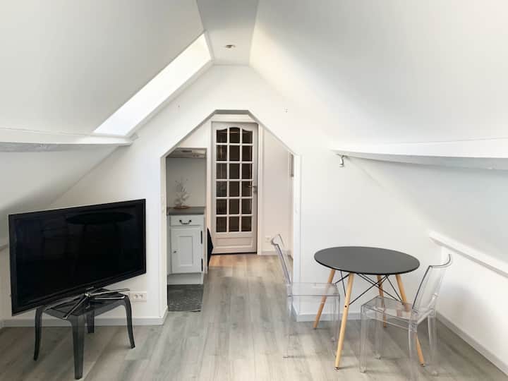 Cosy Studio Sous Comble, Cdg, Astérix, Clim & Spa* - Plailly