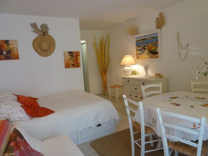 Studio  Avec Piscine Sur  Grande Plage Biarritz - Biarritz