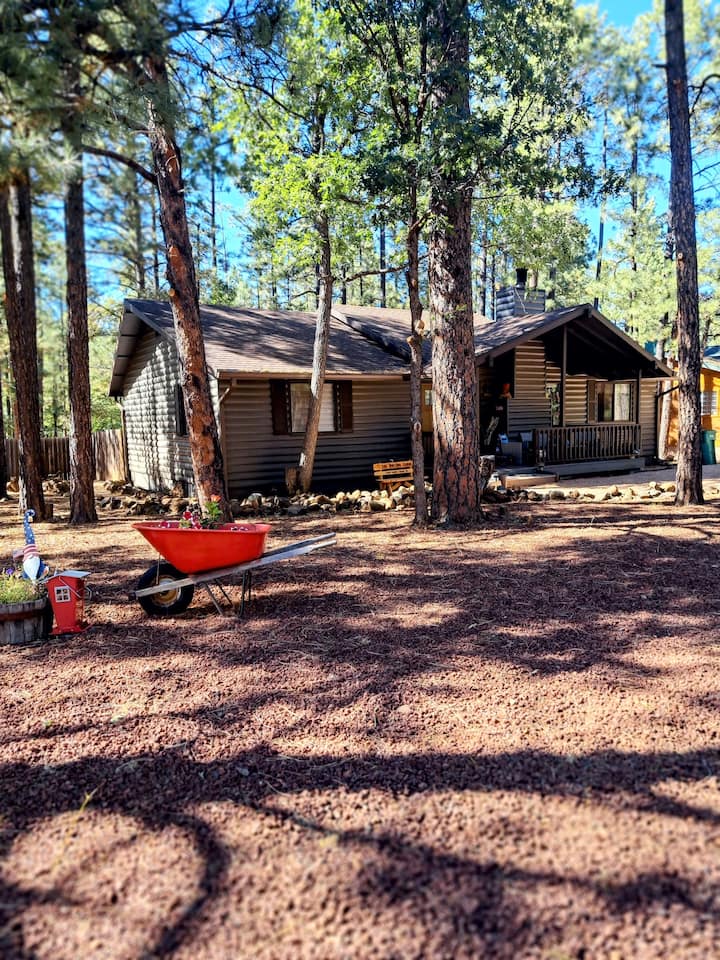 Small Pet-friendly Cabin In The Woods Of Pinetop! - Hawley Lake, McNary