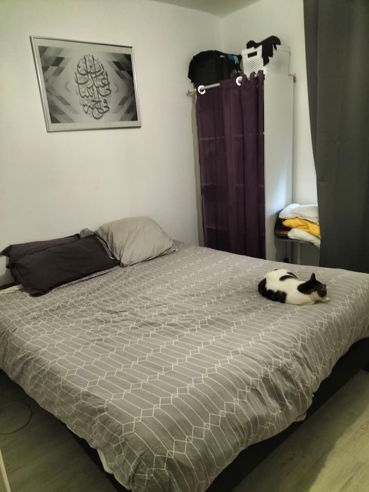 Appartement Côté Plage - Orange Vélodrome, Marseille