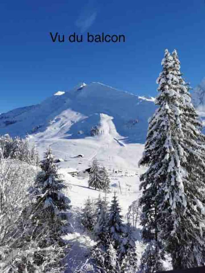 Appartement Manigod Merdassier (La Clusaz) - La Clusaz