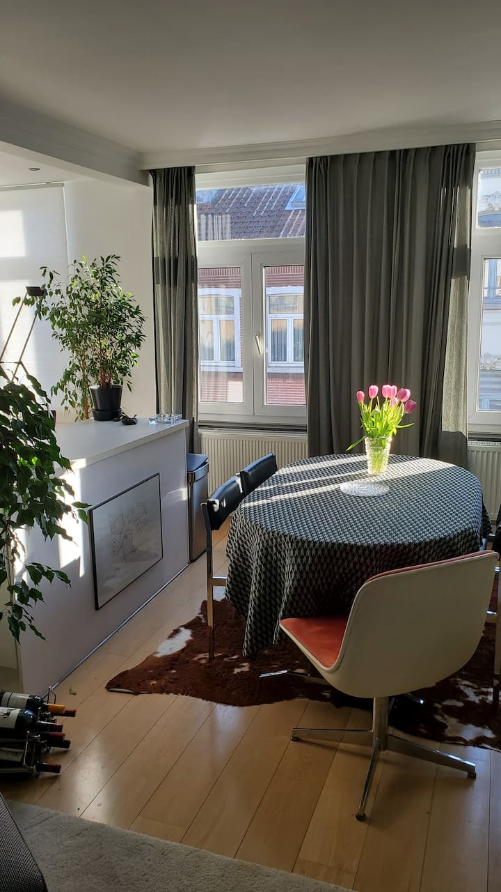 Appartement 2 Pièces Centre-ville - Brüssel, Belgien