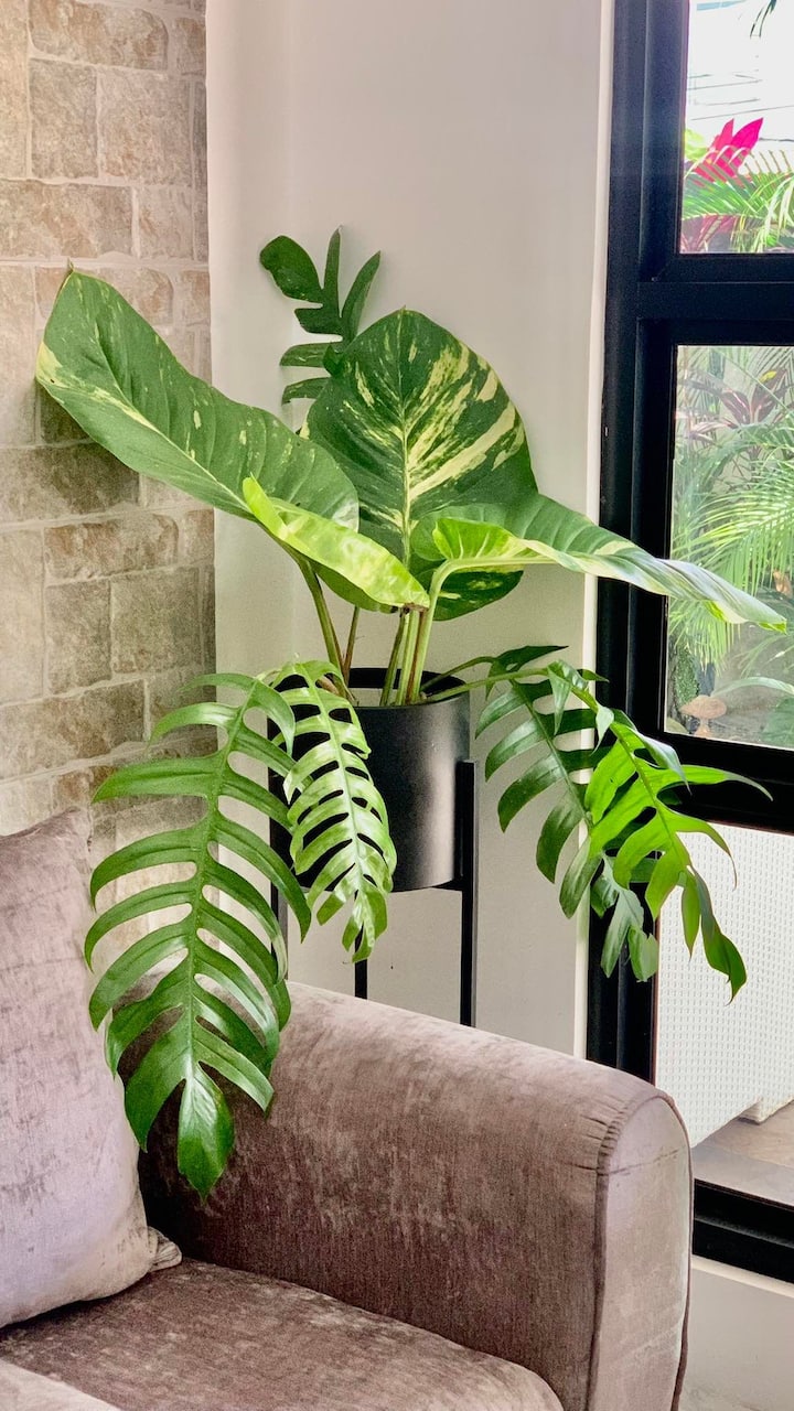 City Oasis 3 - Dumaguete