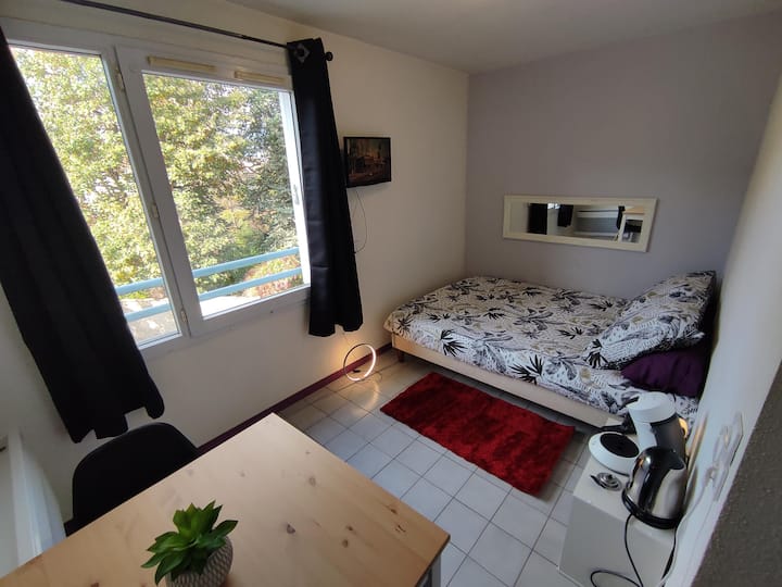 Super Studio à 10 Min De La Gare - Grenoble