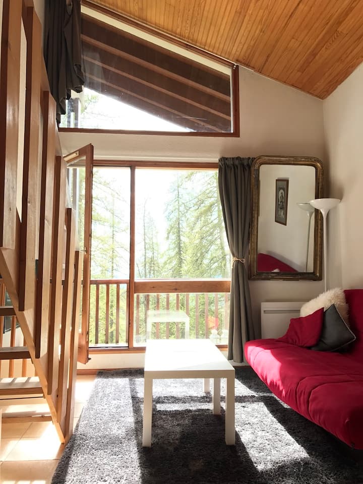 Grand Studio Fonctionnel Et éQuipé Valberg Village - Valberg