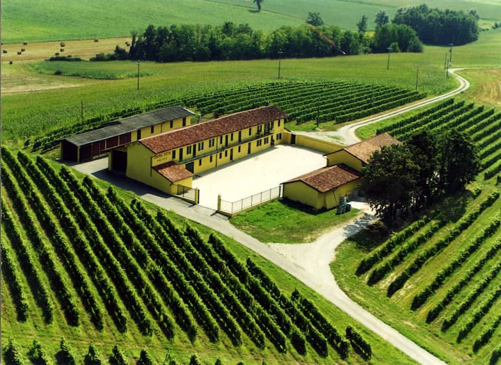 Wine Dreams Holiday Home - Rive