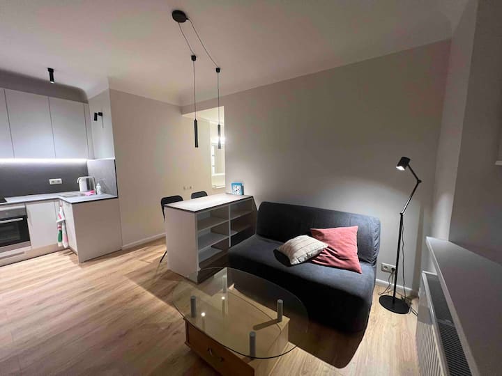 Sunny Apartment In Riga - Riga