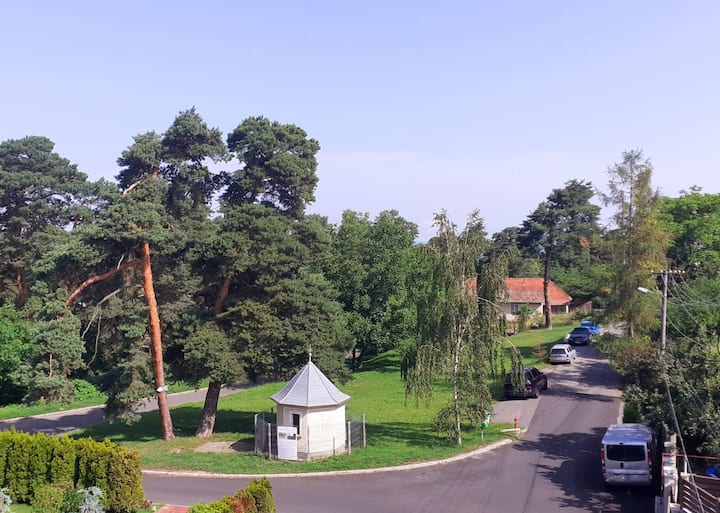 Casa De Lângă Pădure - Brașov