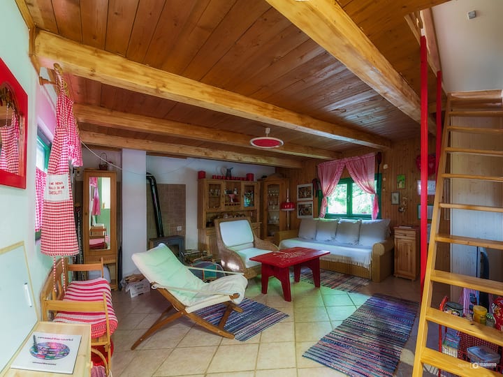 Hedgehog's 33 - Croatia