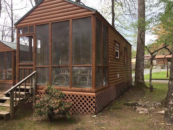 Rainbow Trout - Creekside Cabins - Bryson City, NC