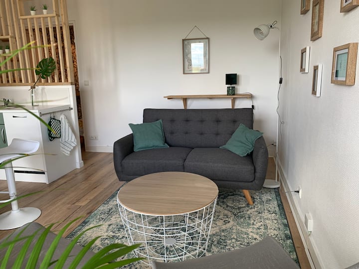 Jolie Chambre/salle D’eau Privée - Cergy