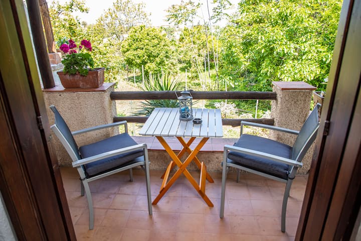 Charming Apartment With Terrace And Garden View - Forio