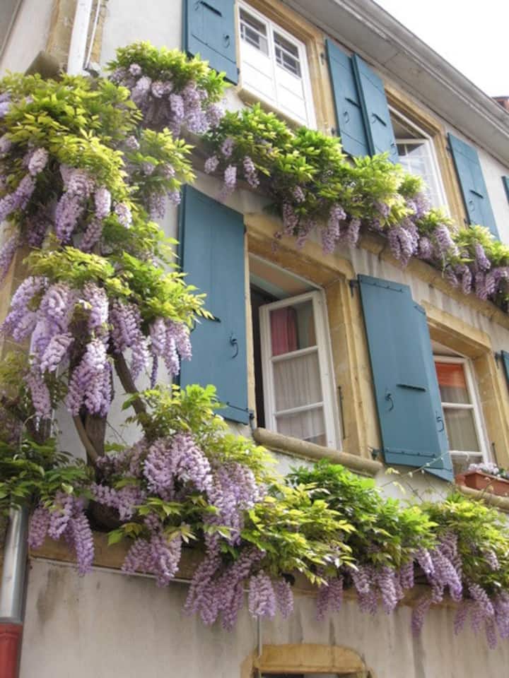 Appartement De Charme Privé Dans Maison Ancienne - Yverdon-les-Bains