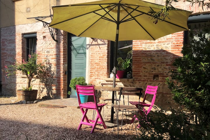 T2 De Charme Au Centre De Toulouse Avec Jardin - Toulouse