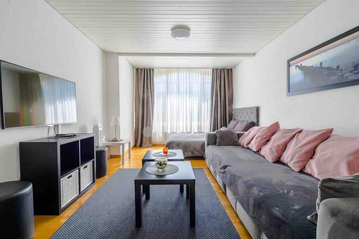 3 Room (2br) Serviced Apartment Zurich City - Opfikon