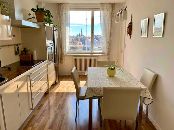 Bright And Cozy Apartment In The City - Graz