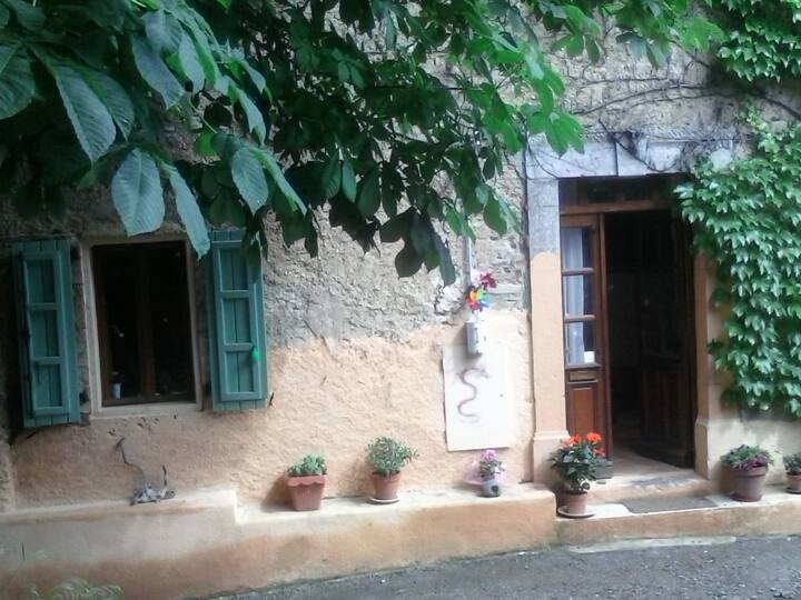 Sous Le Marronnier - Roquebrun
