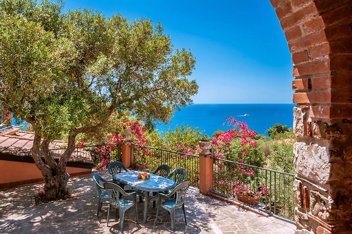 Il Limone - Casa Vacanze Villa Clelia - Acciaroli