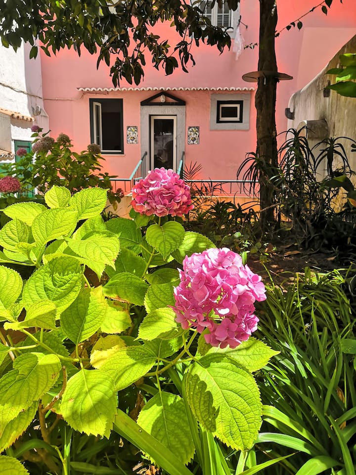 Very Comfortable Apartment With An Amazing Garden - Lisbon