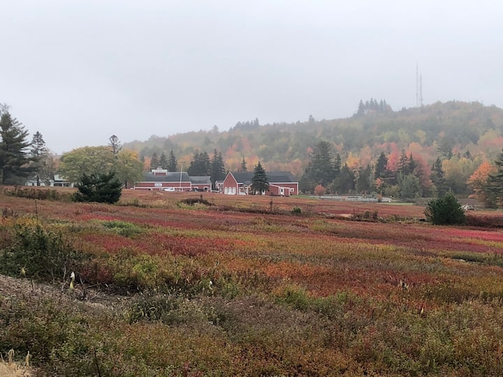 Latham Blueberry Farm For Up To 6 Guests. - Swan Lake State Park, Swanville