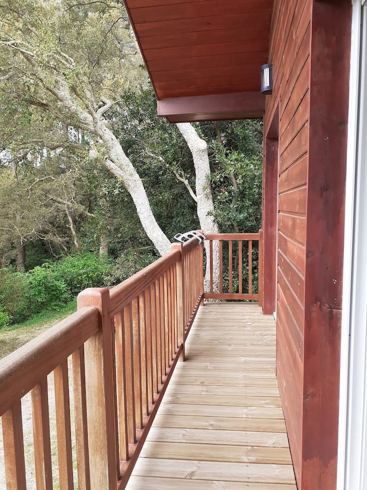 Chalet à L'orée De La Forêt Landaise. - Boucau